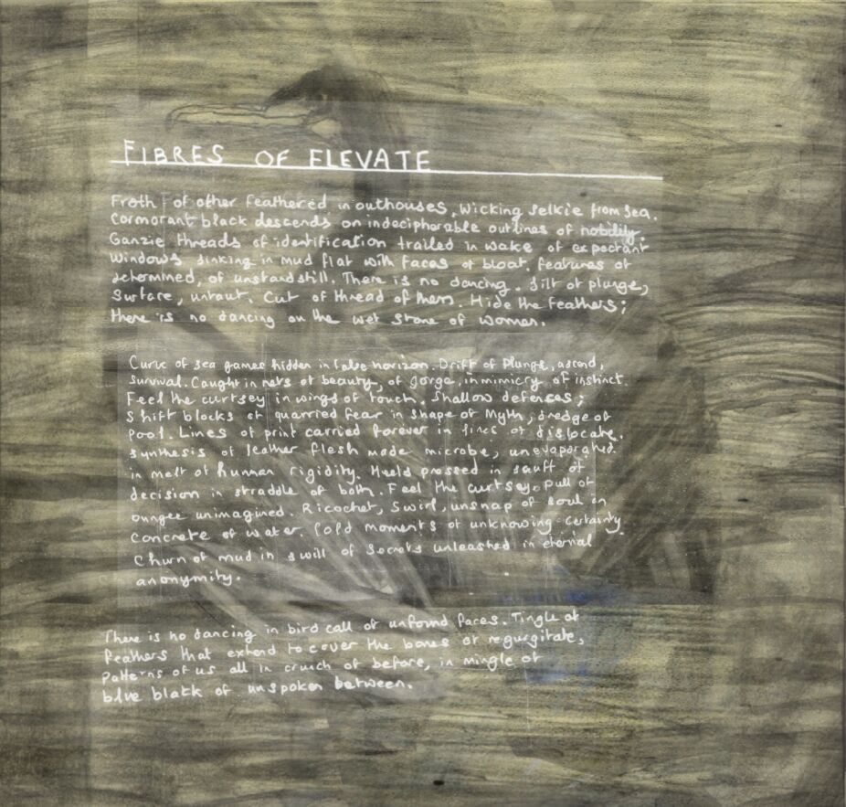 Fibres of Elevate by Clare Archibald and Brian McHenry – BURNING HOUSE ...