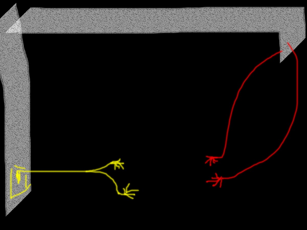 Maddison Stoff: Android Court Transcription – BURNING HOUSE PRESS