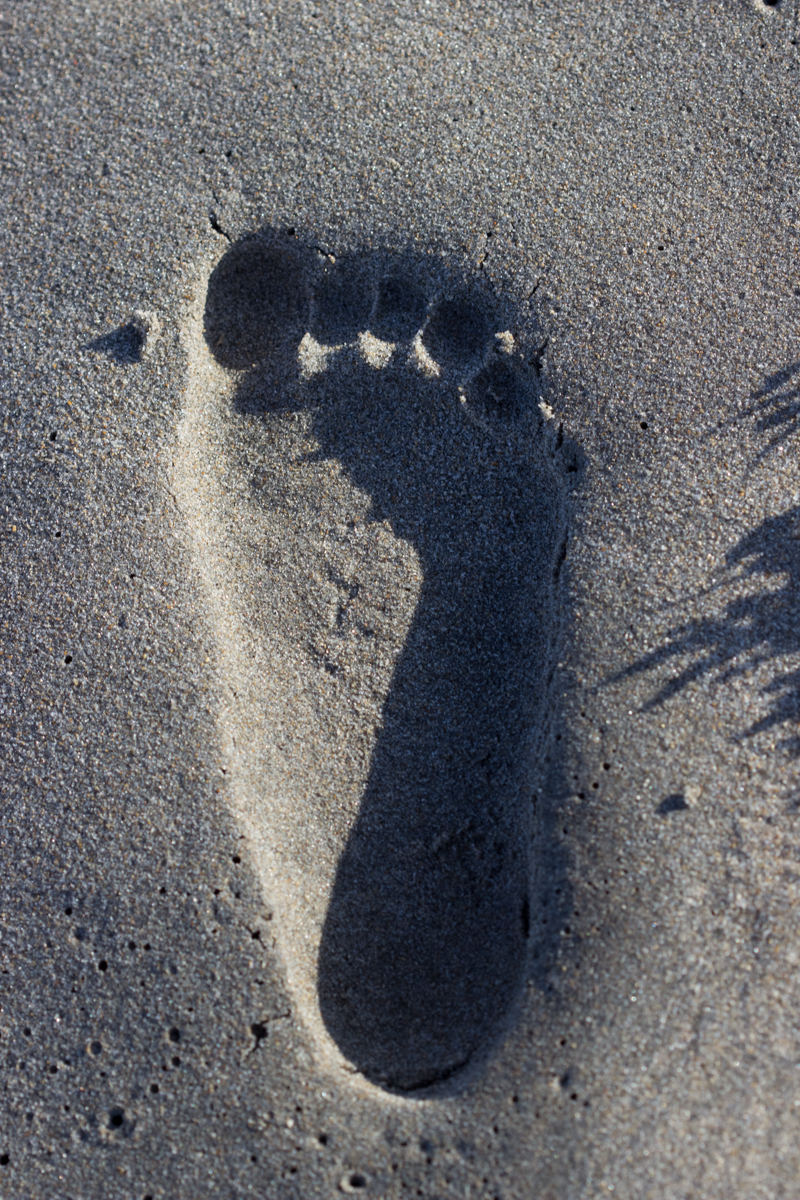 In Limbo – Anne Casey – BURNING HOUSE PRESS