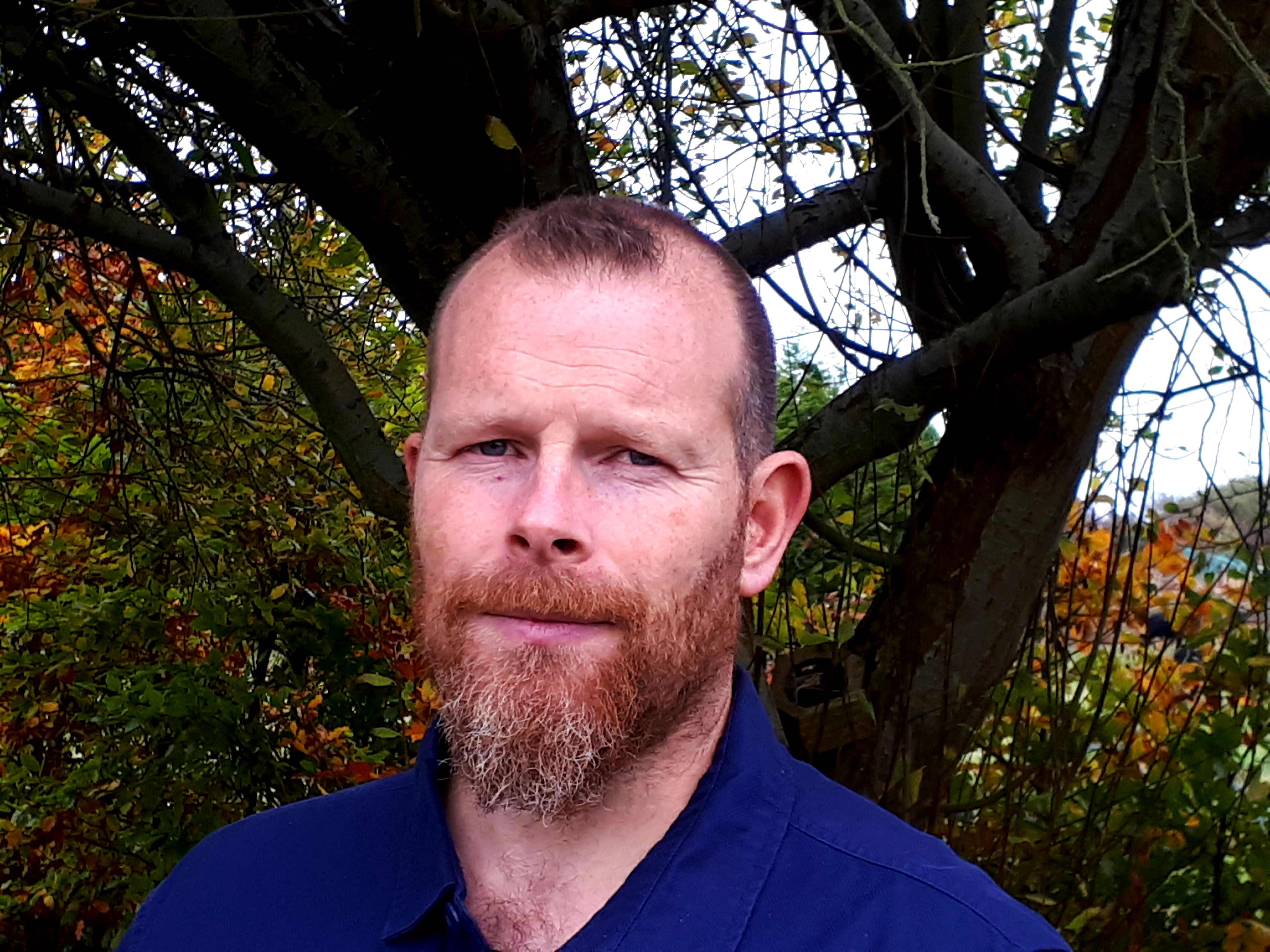 Two Poems by Steve Denehan – BURNING HOUSE PRESS