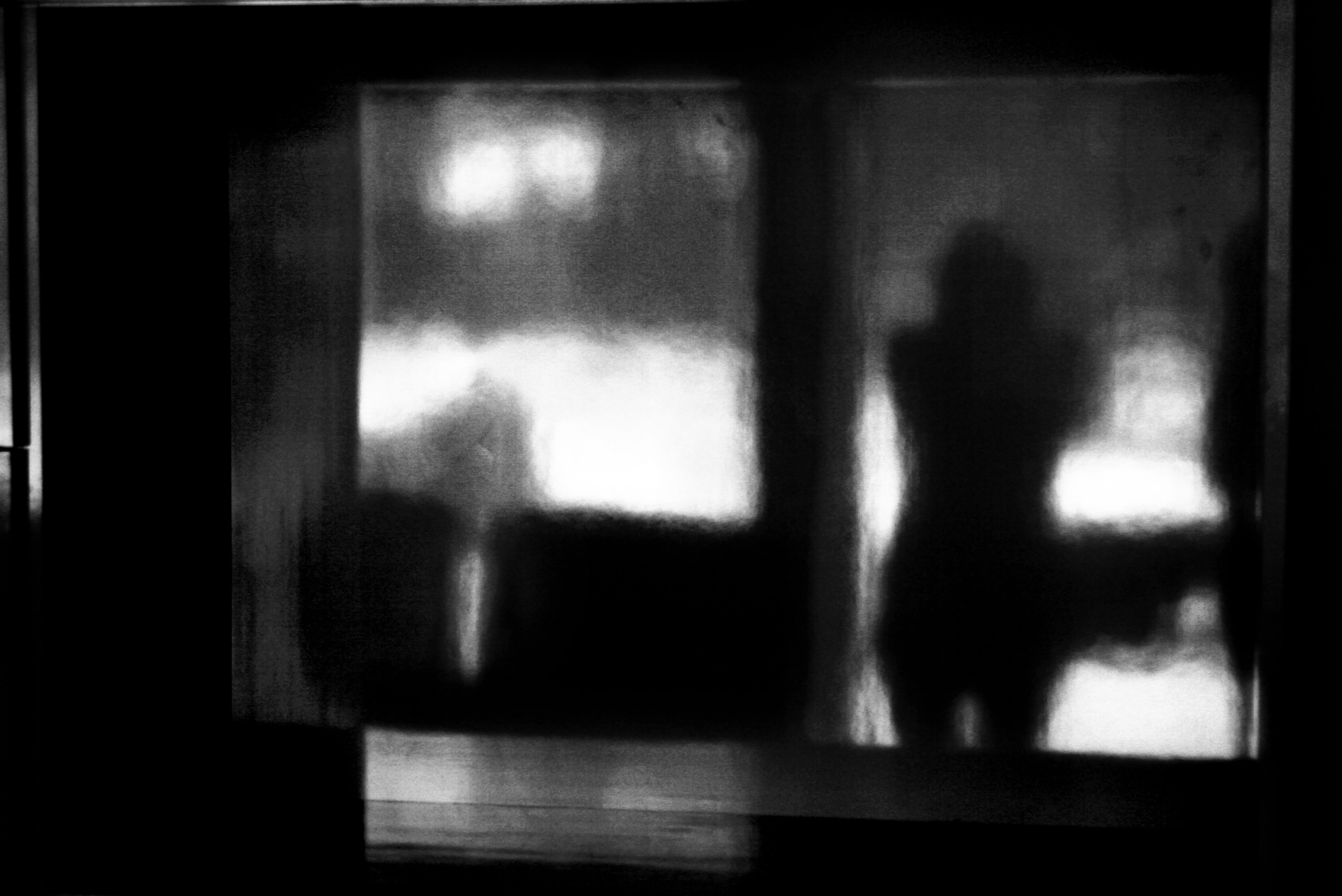 Three Poems by Alina Stefanescu – BURNING HOUSE PRESS