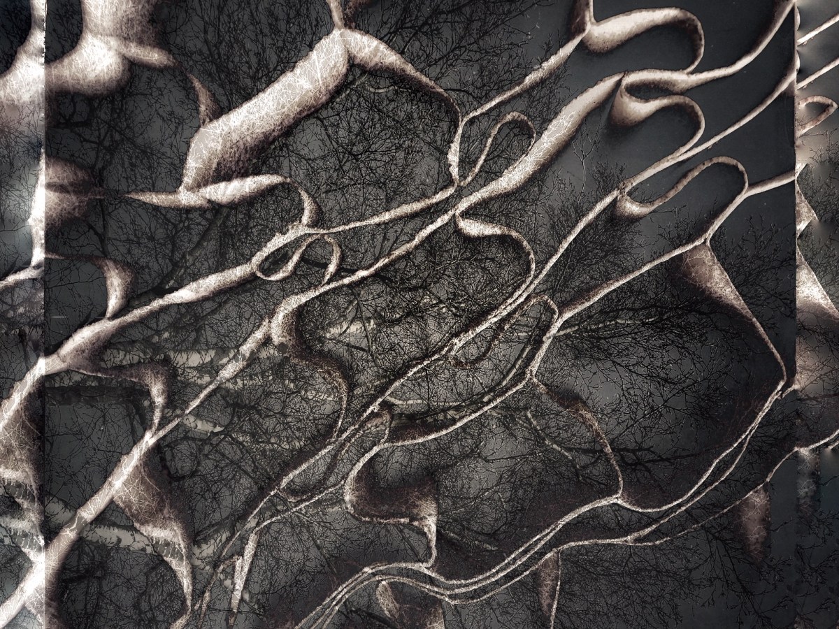 Three Poems and Three Images: Anna Saunders and Robynne Limoges ...