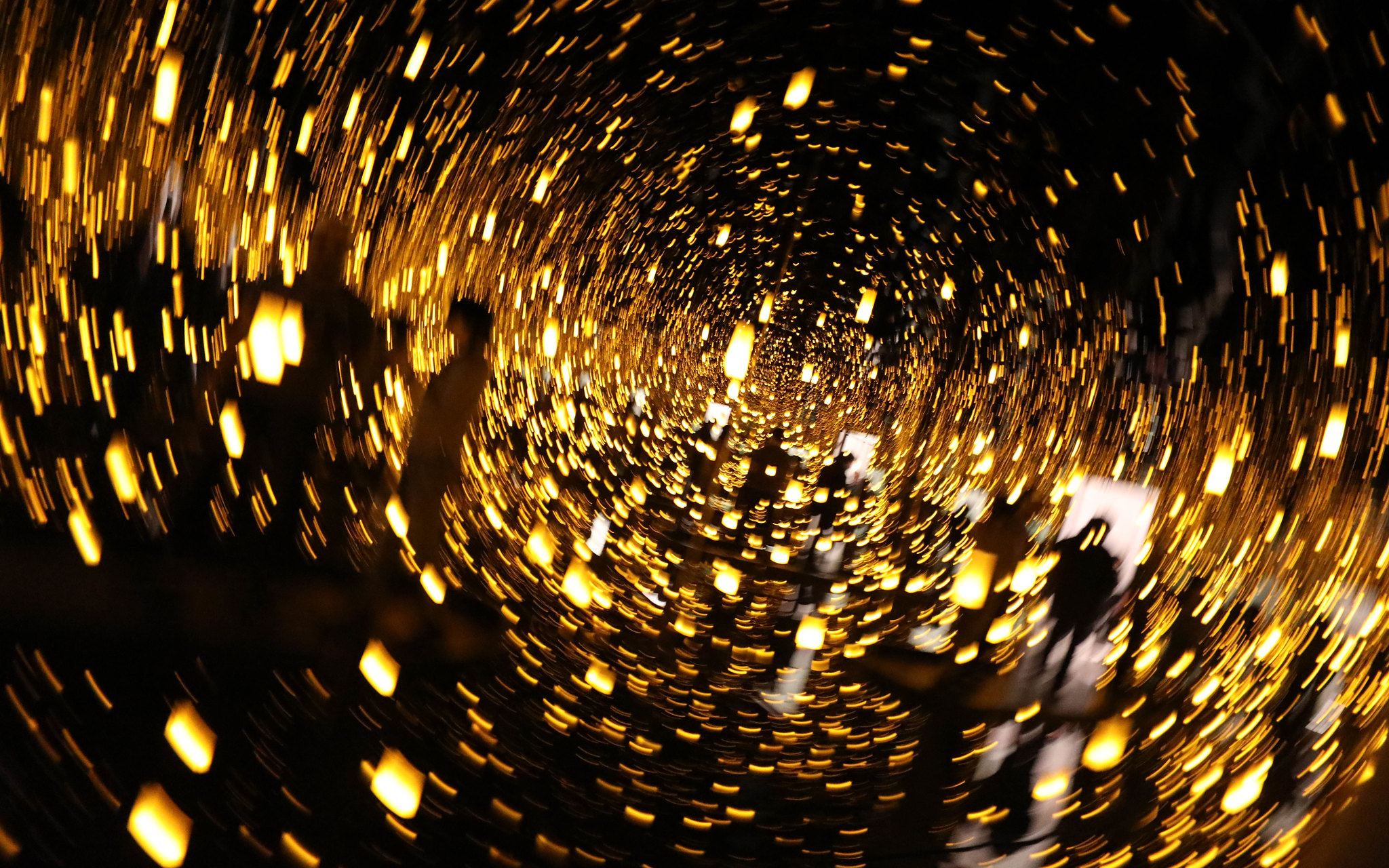 Electric Forest by Victoria Nordlund – BURNING HOUSE PRESS