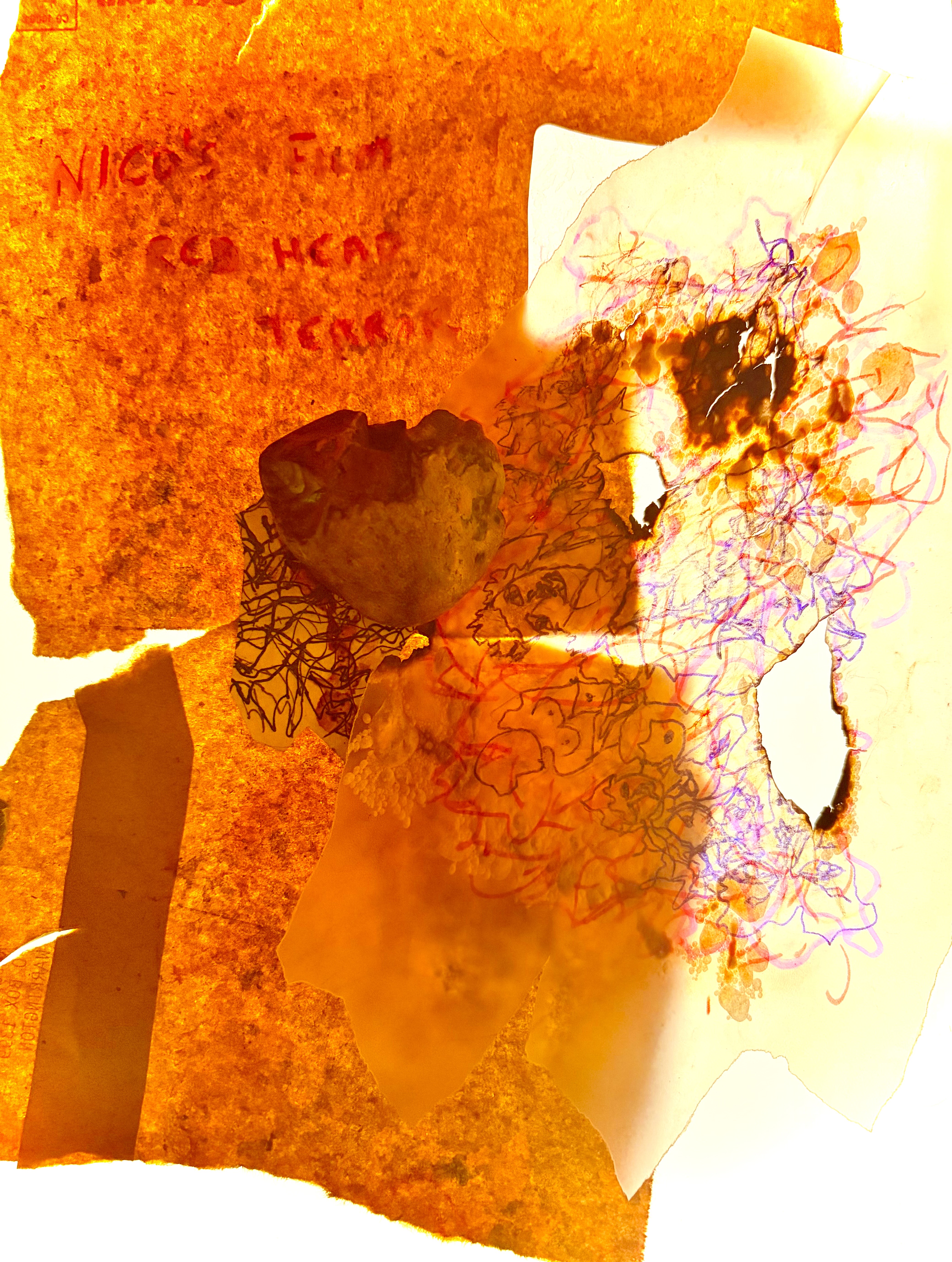 Bicycle by Tom Bland – BURNING HOUSE PRESS